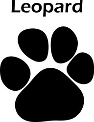 Leopard footprint Royalty Free Vector Image - VectorStock