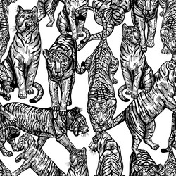 Tiger Engraving Vector Images (over 530)