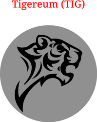 Tig Vector Images (over 160)