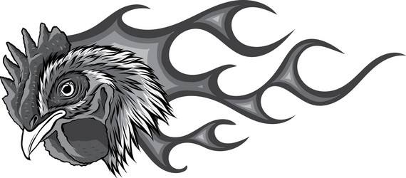 Angry Rooster Vector Images (over 990)