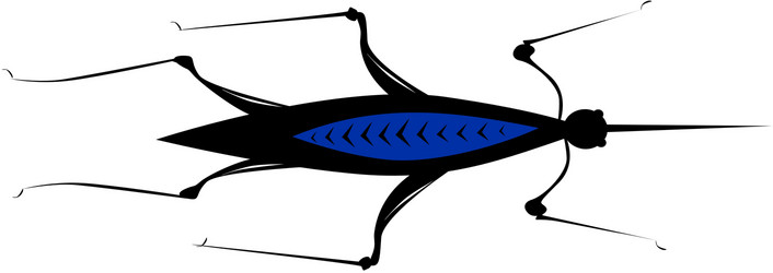 Water Strider Vector Images (18)