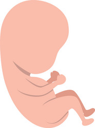 Cute Fetus Vector Images (over 520)