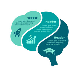 Human brain anatomy infographic educational Vector Image