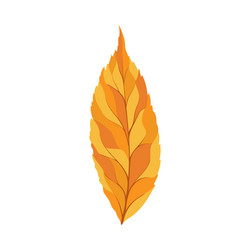 Ash-tree leaf Royalty Free Vector Image - VectorStock