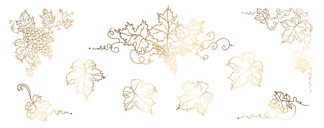 Vine design elements Royalty Free Vector Image