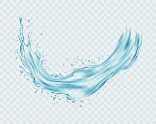 Transparent water splash with wave and bubbles Vector Image
