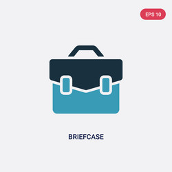 Two color object-oriented programming icon from Vector Image