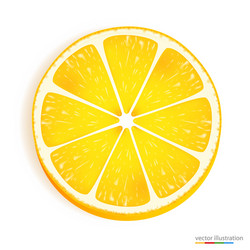 Lemon app icon Royalty Free Vector Image - VectorStock