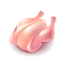 3d raw chicken carcass for menu design Royalty Free Vector