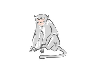 Grey Monkey Vector Images (over 350)