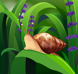 Snail crawling on green leaf Royalty Free Vector Image