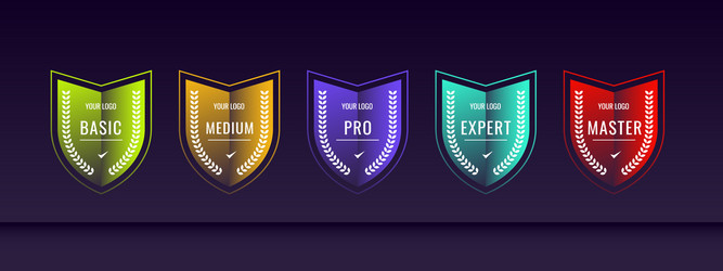 Financial badge logo template certified finance Vector Image