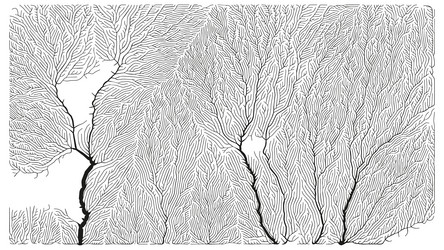 Growth pattern generative branching structure Vector Image