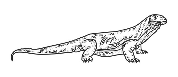 Monitor lizard Royalty Free Vector Image - VectorStock