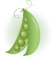Green peas in a pod Royalty Free Vector Image - VectorStock