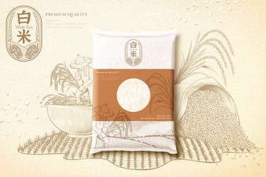 Engraving rice ad template Royalty Free Vector Image