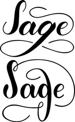 Hand written sage text isolated on white Vector Image