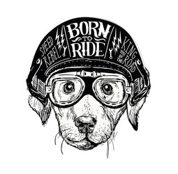 Biker pug dog set of vintage motorcycle emblems Vector Image