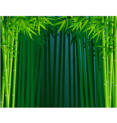 Panda in the bamboo forest Royalty Free Vector Image