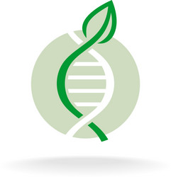 Leaf dna icon plant genome science lab symbol Vector Image