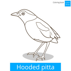 Banded pitta bird learn birds coloring book Vector Image