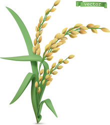 Rice Plant Vector Images (over 15,000)