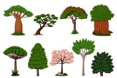 Baobab Tree Vector Images (over 1,600)