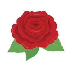 One single red rose with long stem icon Royalty Free Vector