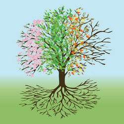Autumn tree of life Royalty Free Vector Image - VectorStock