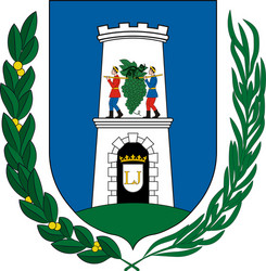 Flag pecs in baranya county hungary Royalty Free Vector