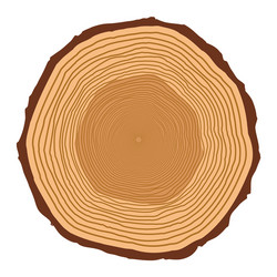 Tree trunk rings design isolated on white Vector Image