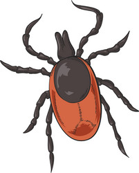 Tick Vector Images (over 100,000)
