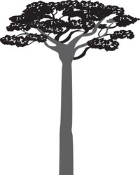 Africa acacia tree Royalty Free Vector Image - VectorStock