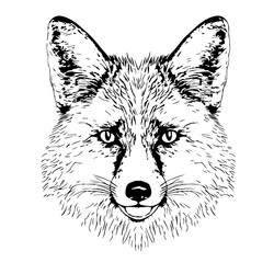 Fox Head Outline Vector Images (over 1,500)