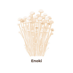 Cluster of enoki mushrooms Royalty Free Vector Image