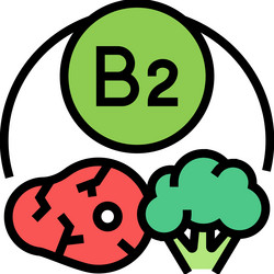 Cartoon christmas vitamin b2 character knolling Vector Image