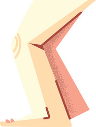 Bones leg body part on white background Royalty Free Vector