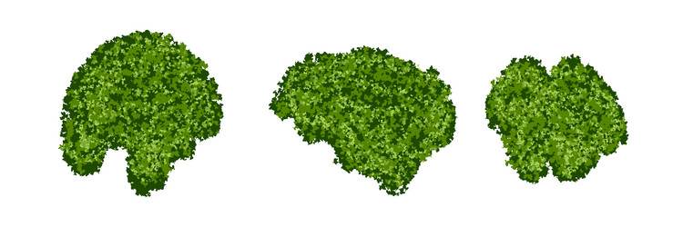 Moss Vector Images (over 2,800)
