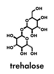 Trehalose mycose tremalose sugar molecule Vector Image