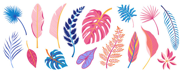 Tropical Leaves Vector Images (over 110,000)