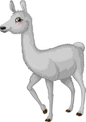Lama Vector Images (over 7,200)