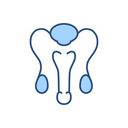 Male Reproductive System Vector Images (over 2,400)