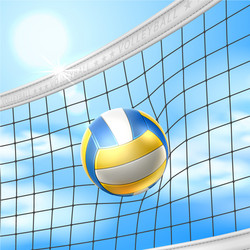 Realistic beach volley ball in net isolated Vector Image