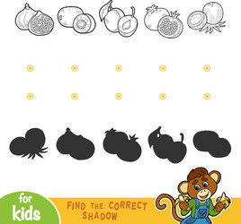 Find correct shadow black and white fruits Vector Image