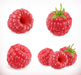 Raspberry fruit set cartoon Royalty Free Vector Image