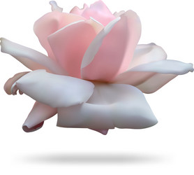 Rosebud Vector Images (over 2,100)