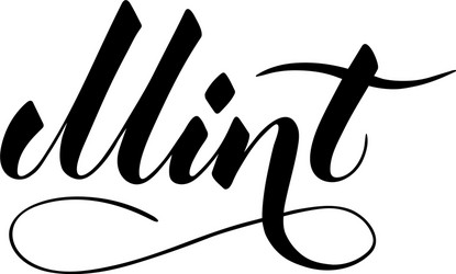 Hand written mint text isolated on white Vector Image