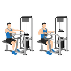 Man doing seated back row machine exercise Vector Image