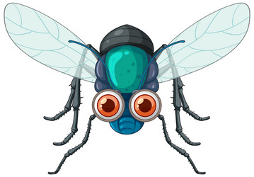 Happy fly cartoon character doodle Royalty Free Vector Image