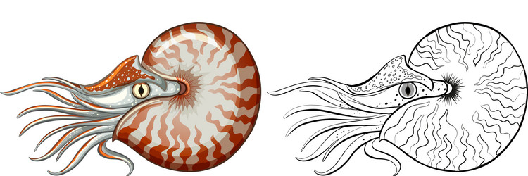 Nature shell icon cartoon style Royalty Free Vector Image